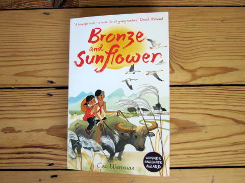 » Book of the month: Cao Wenxuan A year of reading the world