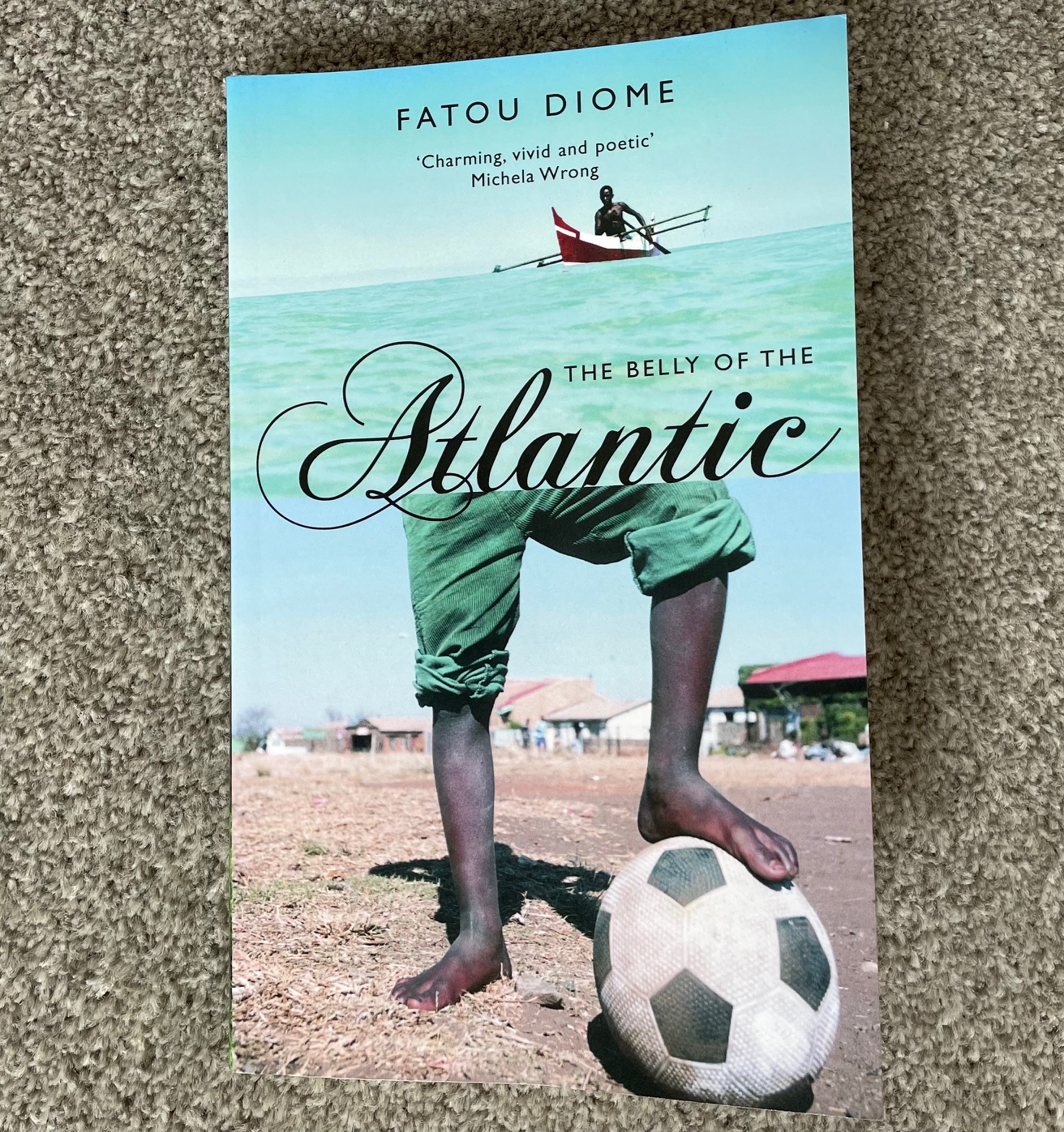 » Book of the month: Fatou Diome A year of reading the world